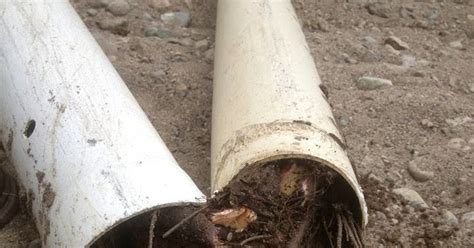 SEPTIC SYSTEMS SEPTIC TANKS SEPTIC REPAIR