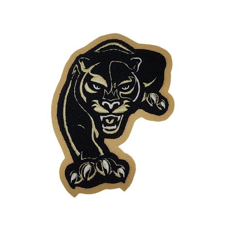 High School Mascots Panther