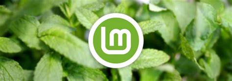 Linux专题