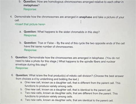 Solved Our Model Cell In This Portion Of The Lab We Ll Chegg Com