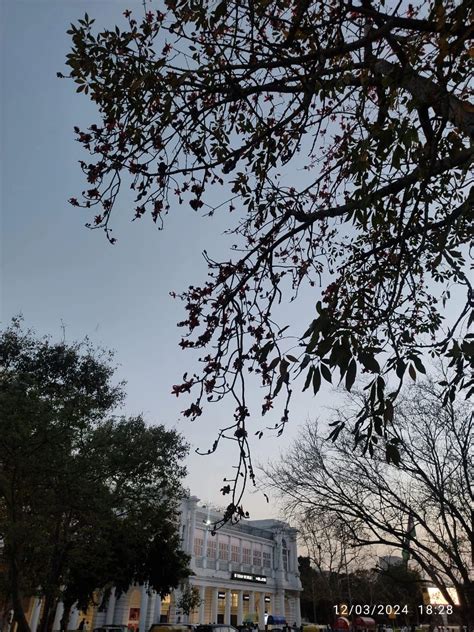 Mansi Chaudhary On Linkedin Glimpse