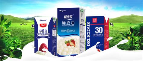 盐城顶益食品有限公司