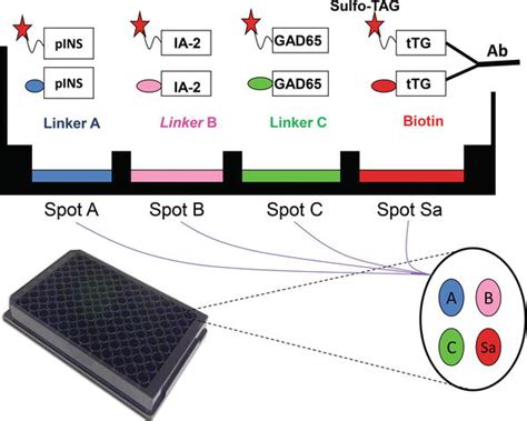 Development Of A Simple Multiplex Electrochemiluminescence Ecl Assay