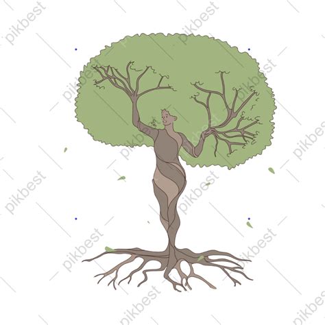 Being Woman Shape A Natural Forest Tree PNG Images EPS Free Download Pikbest