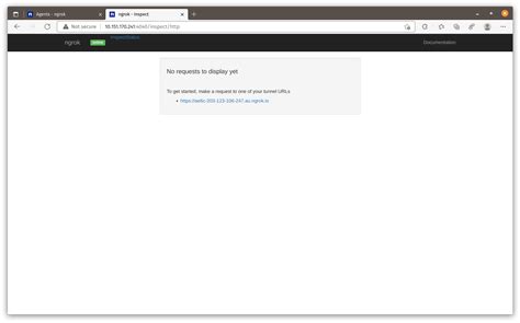How To Use Ngrok With Docker