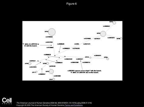 Claudio Verzilli Tina Shah Juan P Ppt Download
