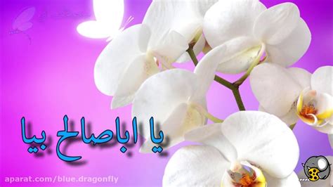 ولادت با سعادت امام زمان عج را تبریک میگویم فیلو