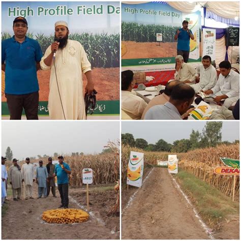 At Dekalb We Are Committed To Build In Our Valued Corn Growers