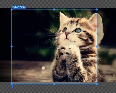 Image Cropping Made Easy Vue Picture Cropper Vue Script