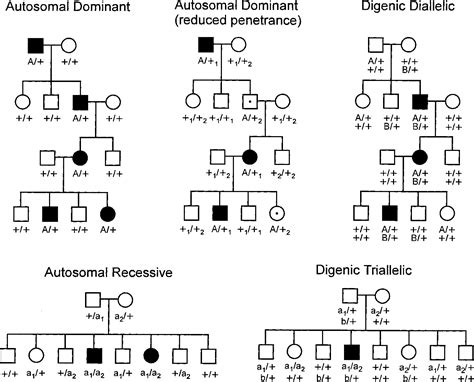 Retinitis Pigmentosa Pedigree