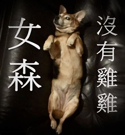 Memetranspolicy 跨性別 跨性 跨女 免術換證英國：衛生大臣宣布未來女性病房僅收治女病患、將不再開放給男跨女使用 By 翻譯志工「不同女性會因為各種原因需要純女照護