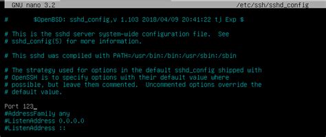 Cara Install Dan Mengaktifkan SSH Di Debian Lamnesia Media