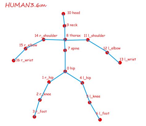 Joint And Number Issue QitaoZhao PoseFormerV GitHub