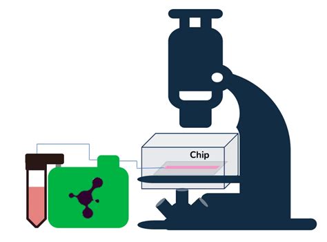 Live Cell Imaging Microfluidics Innovation Center