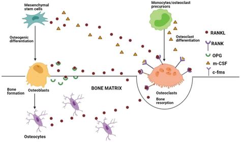 Sanjana Vig Posted On Linkedin