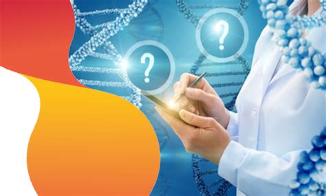 Pcr Genotyping Your Easy Guide To Genetic Analysis