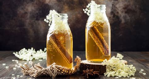 The Rise Of Probiotic Beverages Lionsdeal