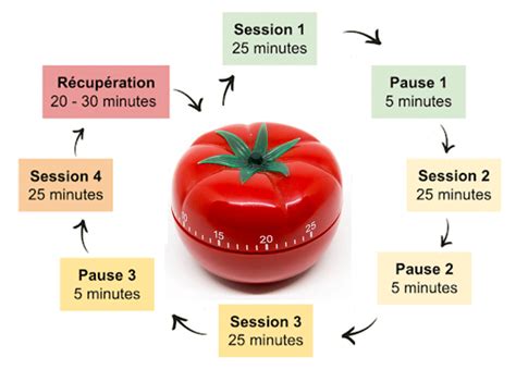 La Méthode De La Tomate Domptez Le Temps Avec La Technique Pomodoro