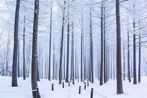눈부신 하얀 세상이 곧 눈앞에 설경이 가장 아름다운 겨울 여행지 추천 여행을말하다