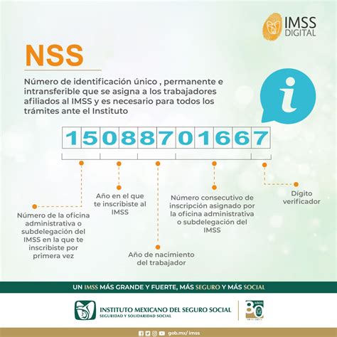 Corrige Tus Datos En Nss Imss Guía RÁpida Y FÁcil