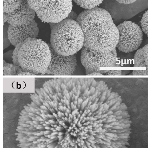 A And B SEM Images Of Nanostructured TiO2 Download Scientific Diagram