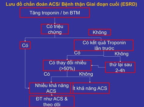 Hs Troponin In Acs Pdf