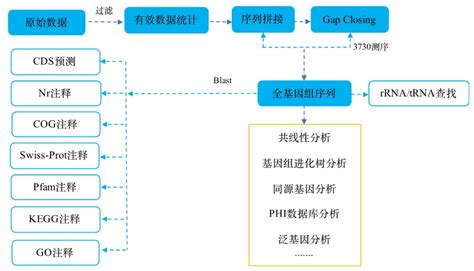真菌基因组测序