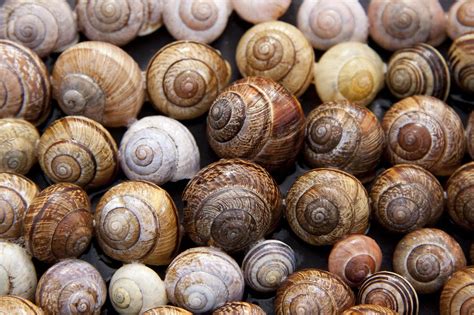 kotlin design patterns this article was originally posted on… by