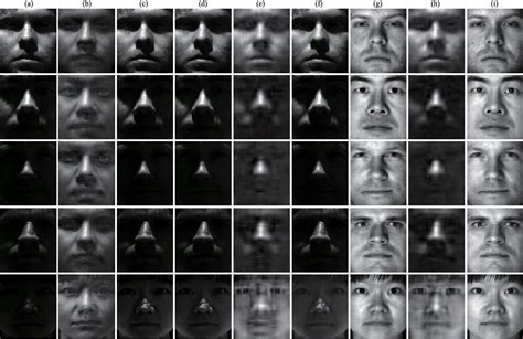 Figure 5 From A Generalized Model For Robust Tensor Factorization With