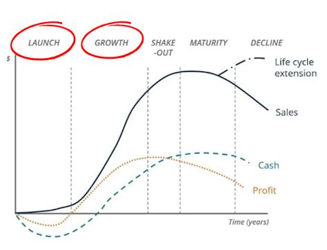 Fractional Director Of Content Marketing When And Why You Need One