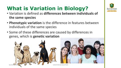 Variation And Natural Selection Igcse Biology Pdf