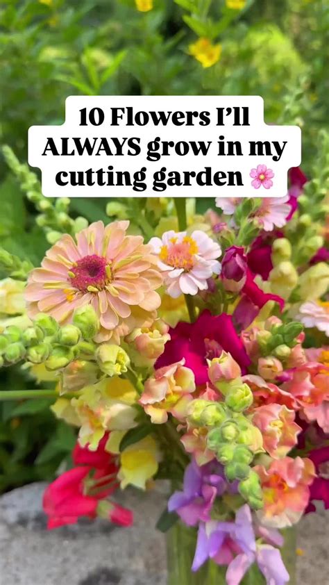 10 Essential Flowers For Your Cut Flower Garden Tiktok