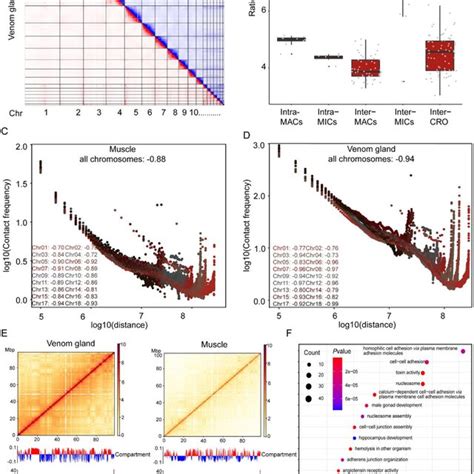 3d Chromatin Organization And Histone Modification Indicated The Global Download Scientific