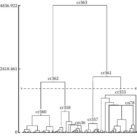 3 Hierarchical Tree To Case Study Download Scientific Diagram