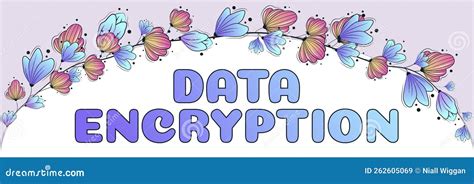 Conceptual Caption Data Encryption Business Overview Conversion Of