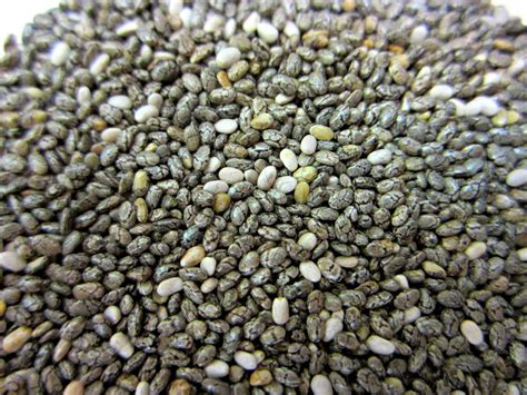 Cbus Columbus In A Year Ch Ch Ch Chia