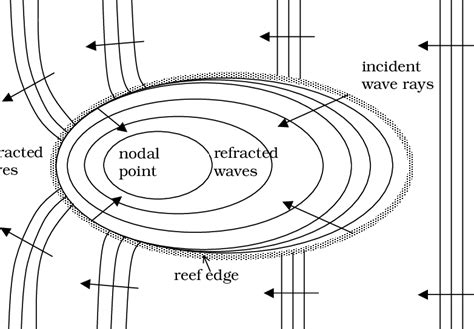 3 Wave Transformation At Coral Reef Slopes Associated To Coral Cay Download Scientific Diagram