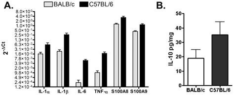 A Normalized Gene Expression Values Are Expressed As 2−Δct [72] B