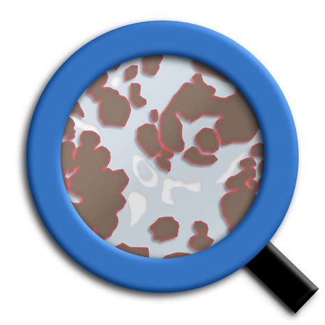 Qupath Boosting Bioimage Analysis For Users And Developers Czi