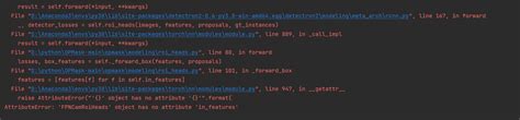 Attributeerror Fpncamroiheads Object Has No Attribute Infeatures Pytorch Forums