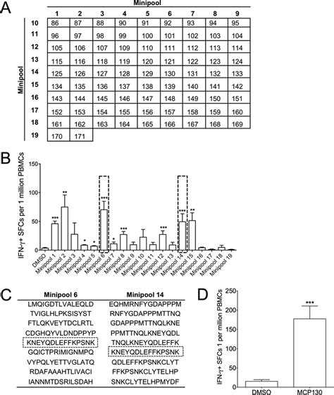 Deconvolution Of Mcp2 Peptide Pool Elephant 3 Who Had A Significant Download Scientific