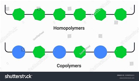 Chemistry Types Polymers Structure Stock Vector Royalty Free 2289850411 Shutterstock