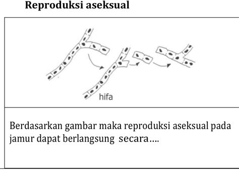 Reproduksi Aseksual Gambar Menunjukkan Studyx
