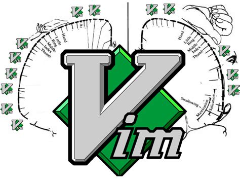 this is your brain on vim
