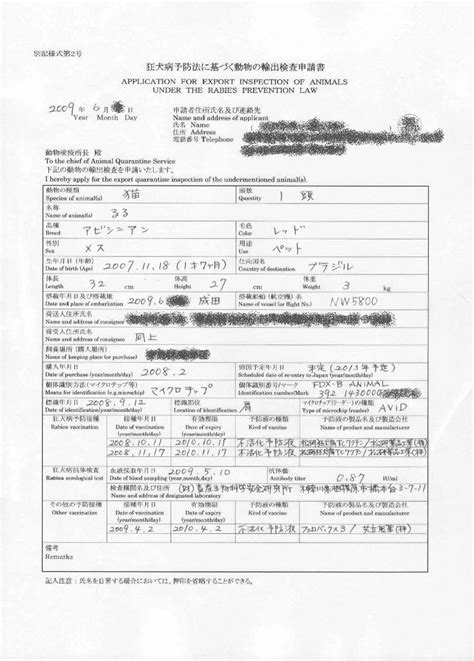 るるの書類の話 Rurueのブラジル日記