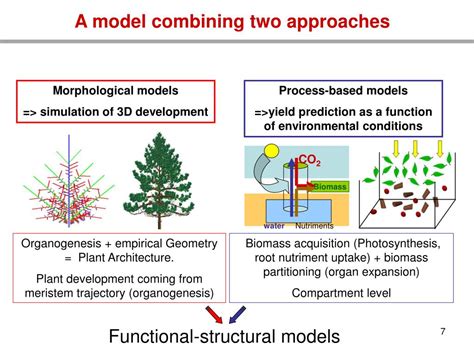 Ppt Digiplante Modelling Simulation And Visualization Of Plant Growth Powerpoint