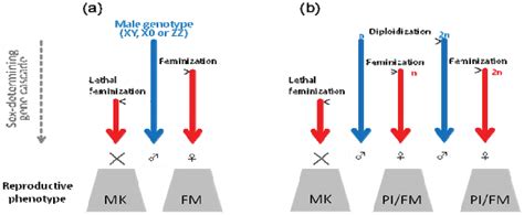 Insect Reproduction Rate