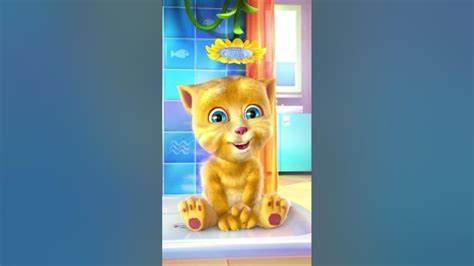 Talking Tom Cat Orange Funny Ginger 🐱 Kindness Youtube