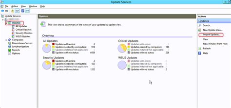 How To Manually Add Updates Into Wsus
