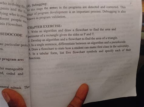 Who Is Doing The D Debugging Pants And The Flo At This Stage The Errors In The Programs Are